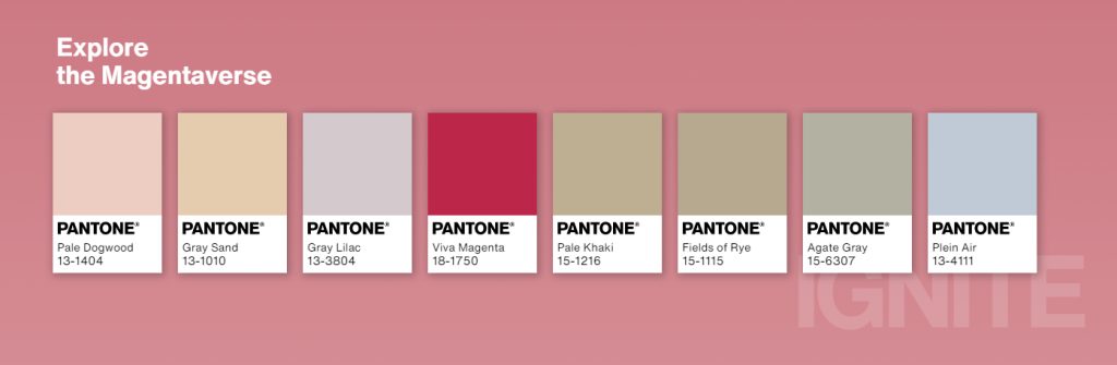 Pantone Color Of The Year 2023: Viva Magenta | Home's Society Blog
